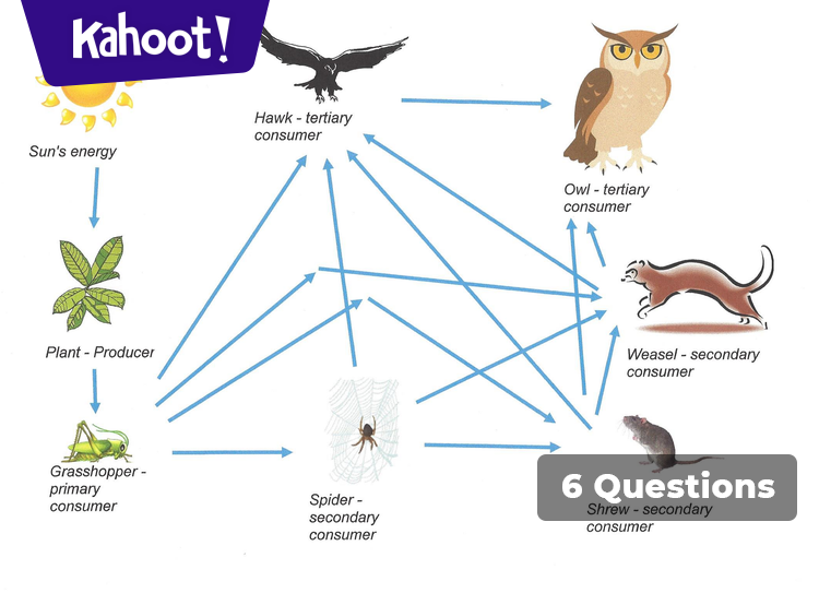Food Web/Food Chain - Kahoot! Quiz