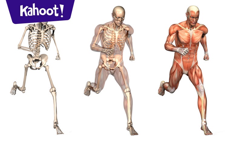 Body Systems, Health and Nutrition Review - Kahoot! Quiz
