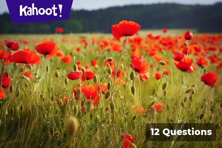 Plant life cycles - Kahoot! Quiz