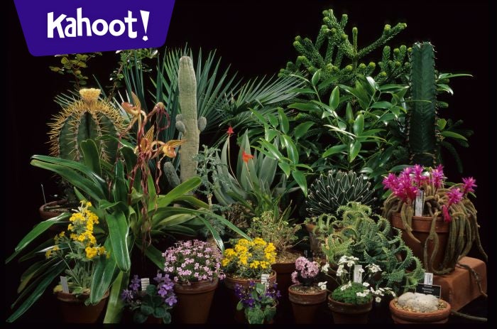 Adaptations and Habitats + Plant Adaptation - Kahoot! Quiz