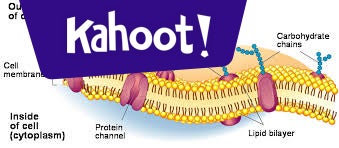 Chapter 3 - Cell Organelles and Transport - Kahoot! Quiz