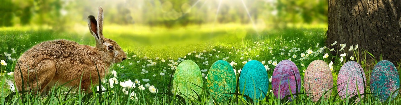 2023 APPing your lessons September: Easter Eggs - Kahoot! Quiz