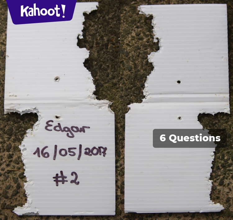 Chew Track Cards - Kahoot! Quiz