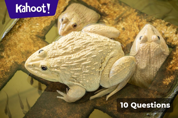 Amazing Amphibians - Kahoot! Quiz
