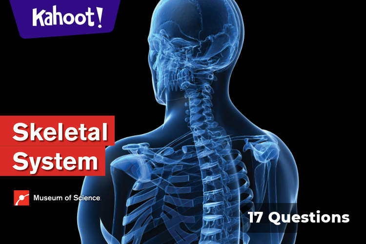 Skeletal System - Kahoot! Quiz