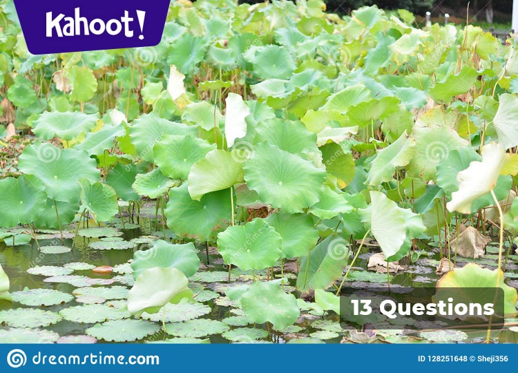 Lesson 4 & 5 Exploring Water Habitats and Adaptations - Kahoot! Quiz