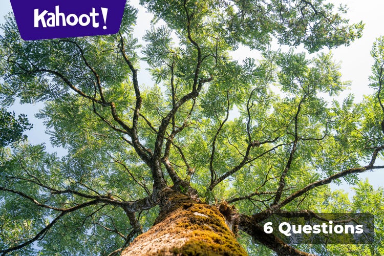 Chpt 2 Sect 4 Plant Metabolism - Kahoot! Quiz