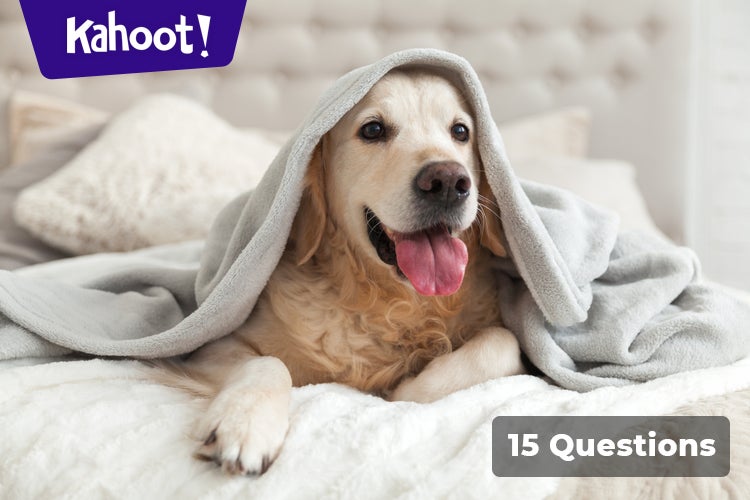 Obento Deluxe Unit 5 Ownership - Kahoot! Quiz