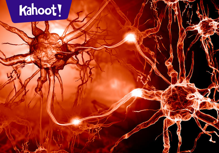 Life Science: The Nervous System - Kahoot! Quiz