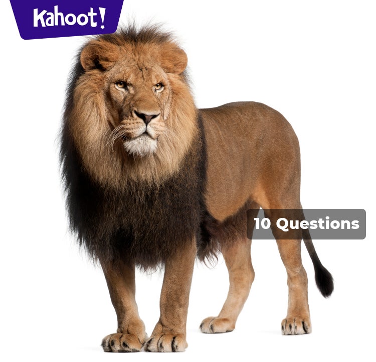 Animals Welcome 1 Unit 12 - Kahoot! Quiz