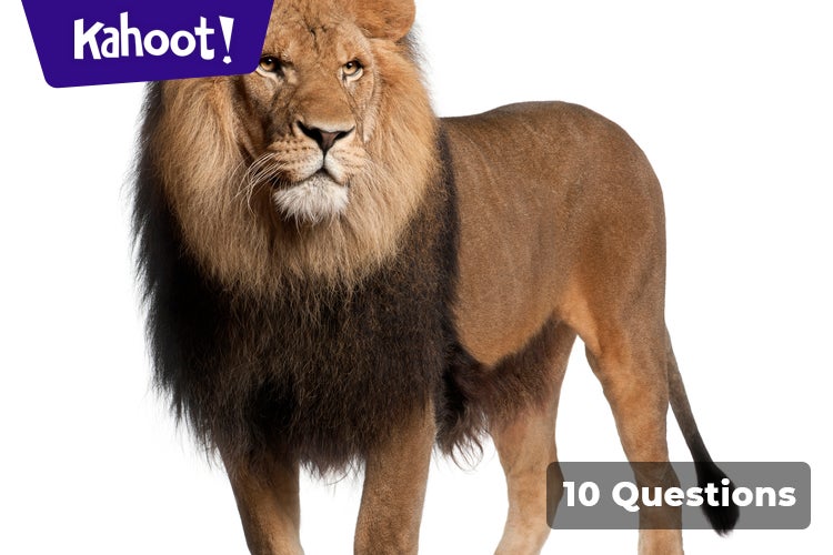 Animals Welcome 1 Unit 12 - Kahoot! Quiz