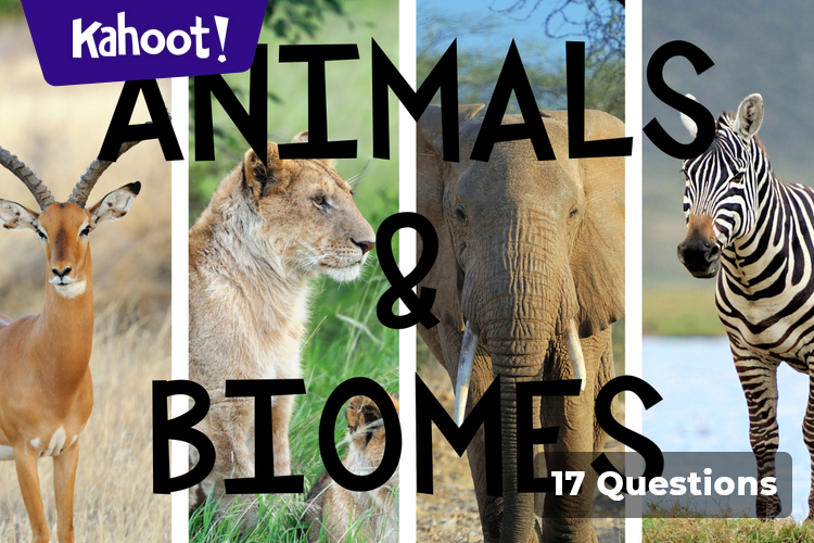 Who am I ? Animals - Kahoot! Quiz