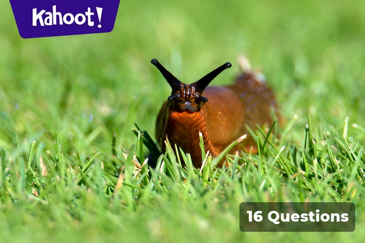 9.1. Interdependence KS3 Science AQA - Kahoot! Quiz