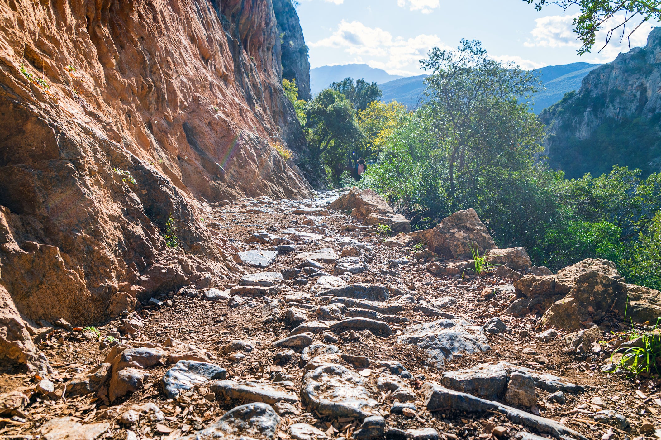 Earth's Surface and Natural Resources - Kahoot! Quiz