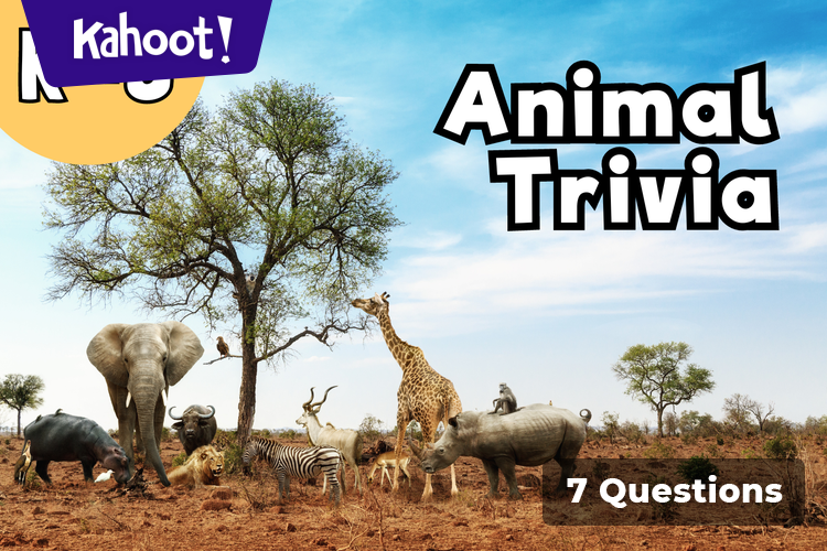 Animal Trivia with Two Whats?! And A Wow! - Kahoot! Quiz