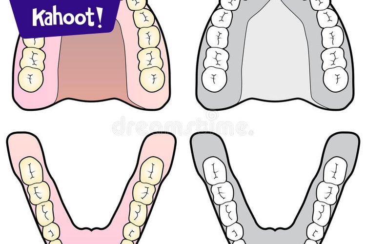 Duplicate of DA101.4 Chapter 9 Tooth Morphology - Kahoot! Quiz
