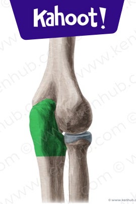 Introduction of anatomy 2 - Kahoot! Quiz