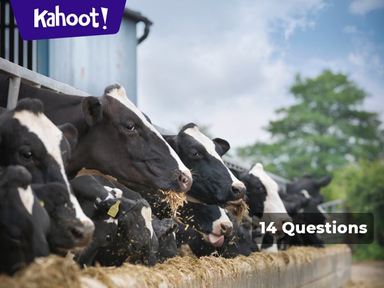 Vet Science ID Dairy cattle breed SC FFA CDE - Kahoot! Quiz