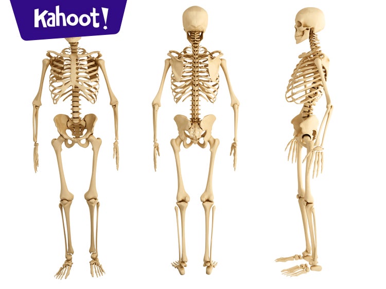 UNIT 3: Chapters 8, 9 Skeleton & Joints REVIEW QUIZ SUMMER '23 - Kahoot ...