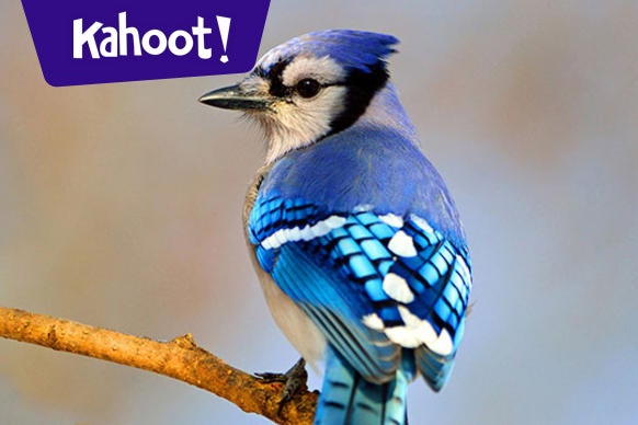 Duplicate of AP Biology Chapter 23 The Evolution of Populations ...