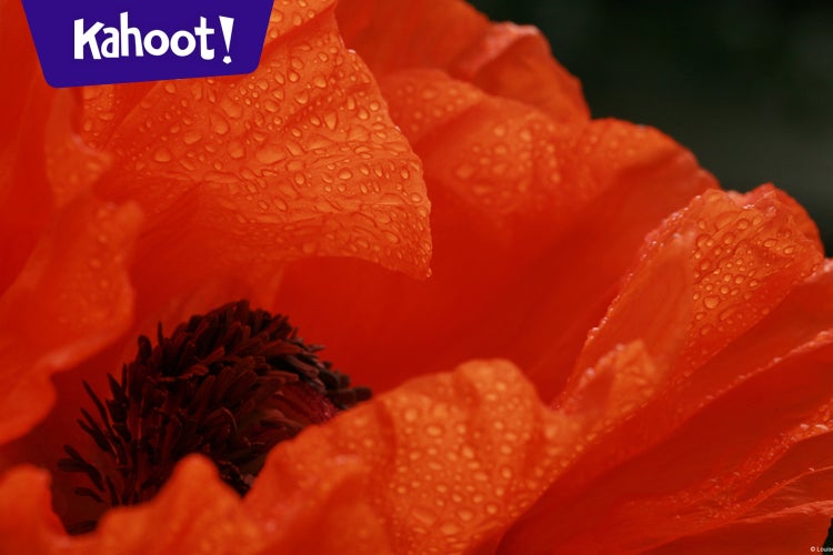 Descubre 8.2c Double Object Pronouns - Kahoot! Quiz