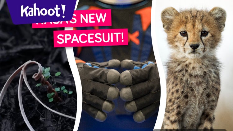 NASA's moonwalking suit, a fostered cheetah cub, and self burying seed ...