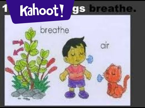 Respiratory System: The Amazing Journey of Breath - Kahoot! Quiz