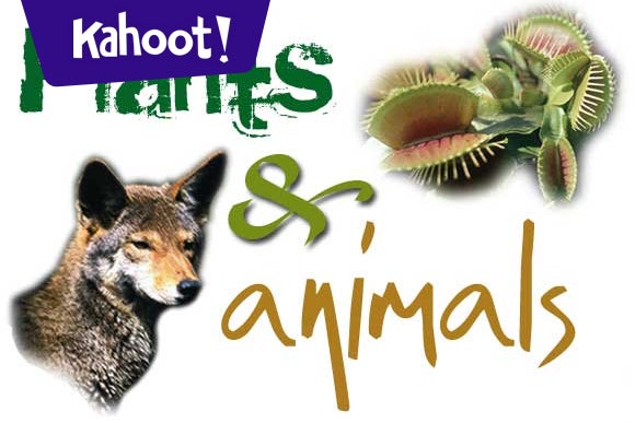 plant or animal - Kahoot! Quiz