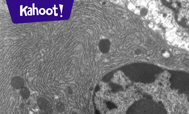 IB Biology: A2.2 Cell Structure - Kahoot! Quiz