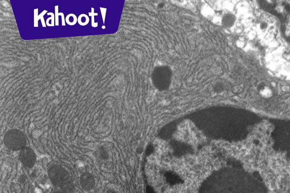IB Biology: A2.2 Cell Structure - Kahoot! Quiz