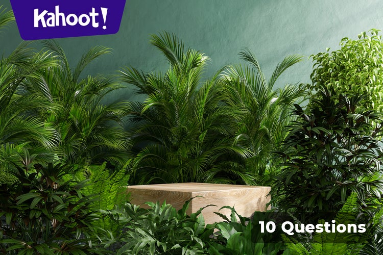 Plant Adaptations - Kahoot! Quiz