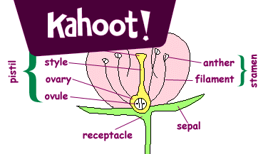 Reproduction in plant - Kahoot! Quiz