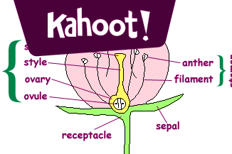 Reproduction in plant - Kahoot! Quiz
