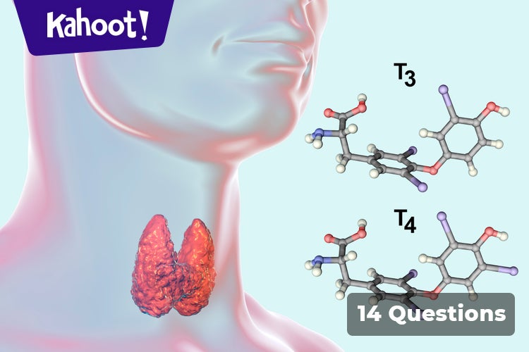 Endocrine System - Kahoot! Quiz