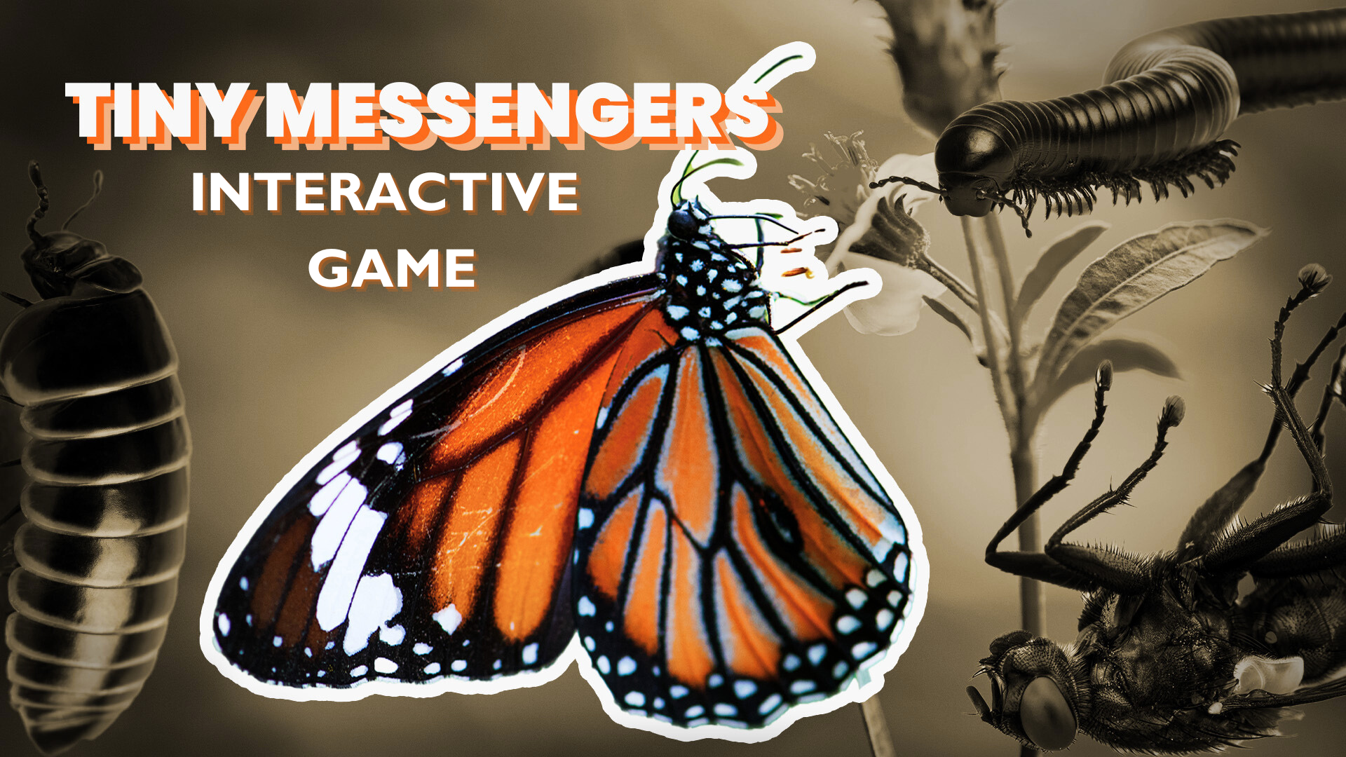 Tiny Messengers Interactive Game (Spooky edition) - Kahoot! Quiz