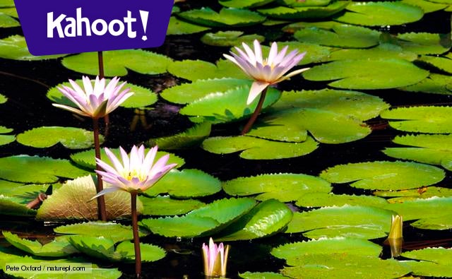 Plant Defense, Survival, Reproduction, and Responses to Stimuli ...