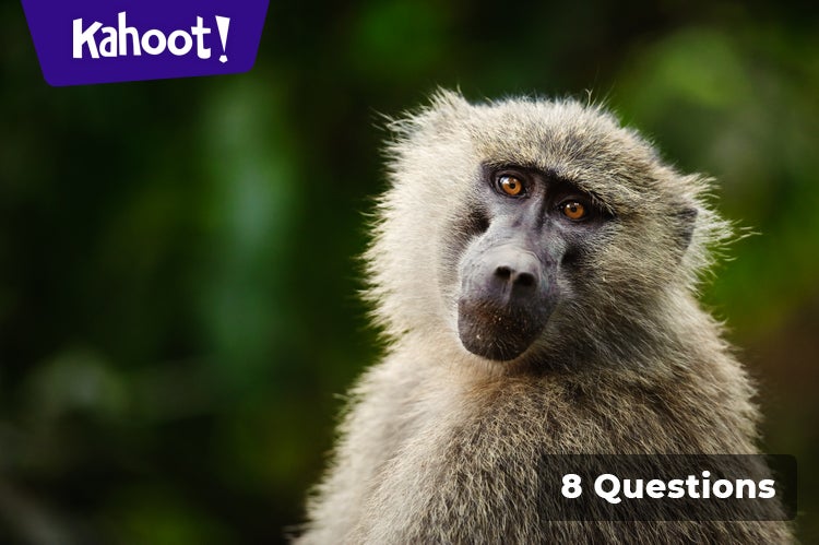 Open Up 5 - Unit 5: Wild Animals - Kahoot! Quiz