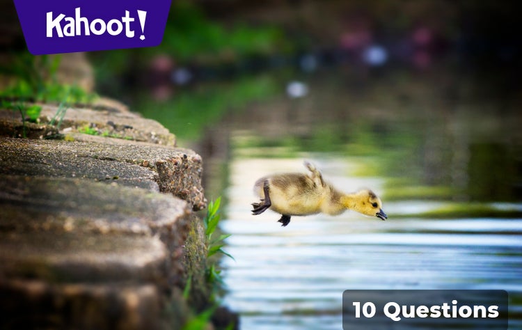 Mr. Jeffrey's Nature Quiz #6 - Kahoot! Quiz