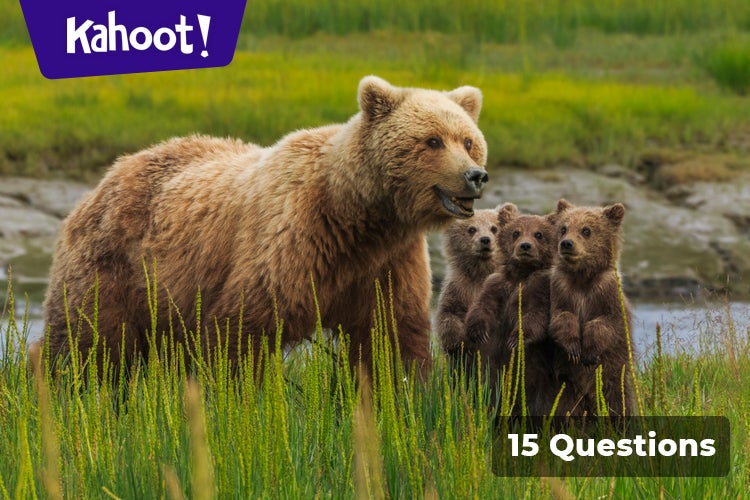 Baby Animals: Part 2 - Kahoot! Quiz