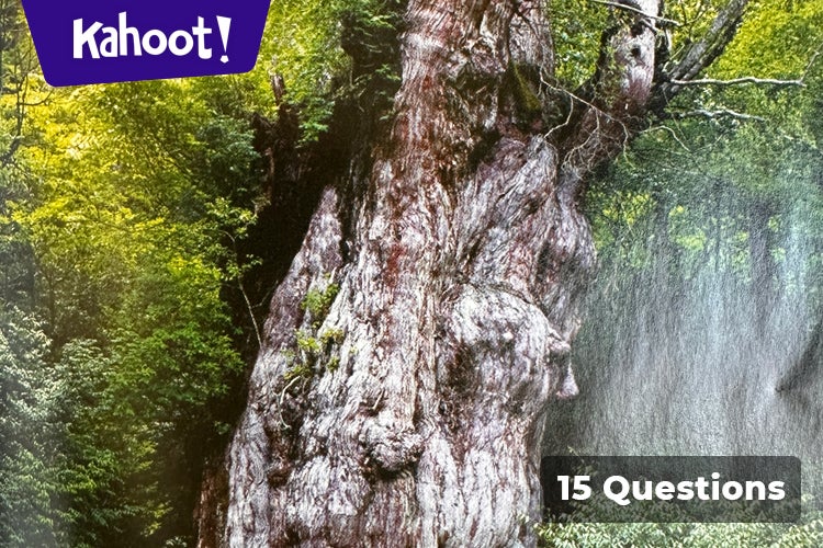 English Club (grammar) - Kahoot! Quiz