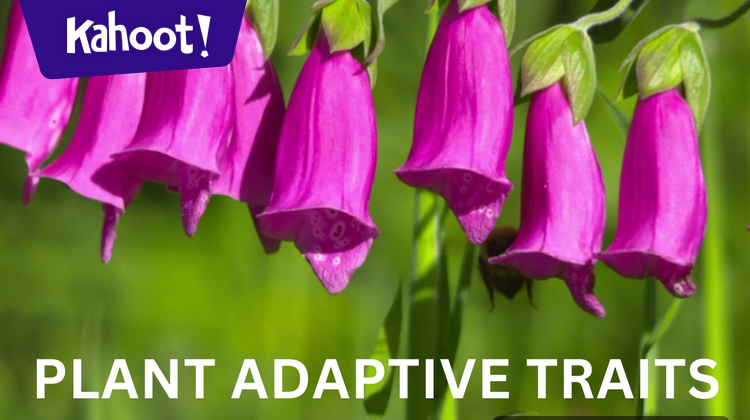 Intro to Plant Adaptive Traits - Kahoot! Quiz