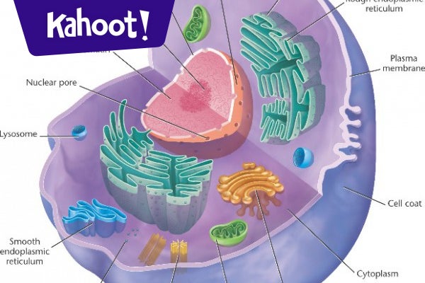 Cell Biology Introduction - Kahoot! Quiz