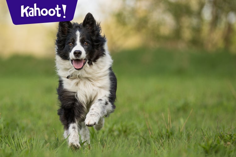 Rounding to significant figures - Kahoot! Quiz