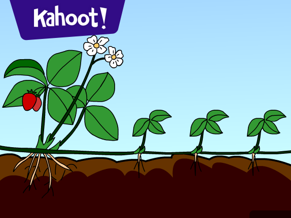 ASEXUAL REPRODUCTION OF PLANTS - Kahoot! Quiz