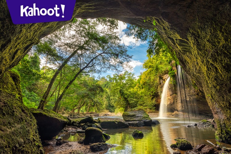 291/1 READING CHALLENGE 3 / UNIT 8 / USING THE WORDS AND IDIOMS IN THE SENTENCES - Kahoot! Quiz