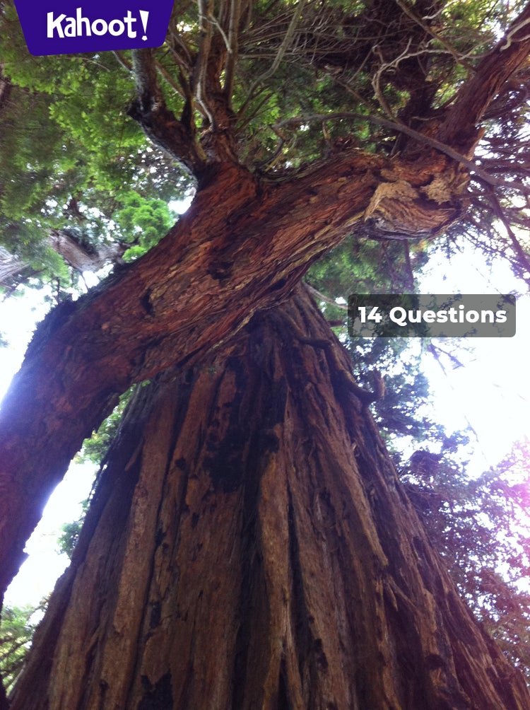 Holt- Environmental Science Chapter 6 Biomes Quiz - Kahoot! Quiz