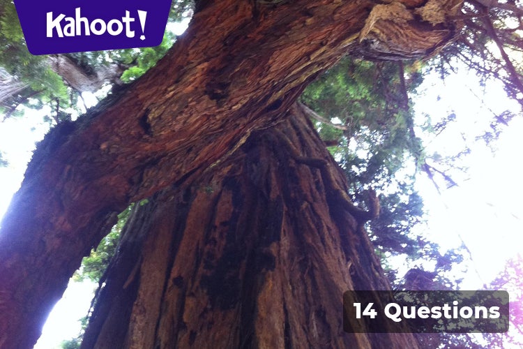 Holt- Environmental Science Chapter 6 Biomes Quiz - Kahoot! Quiz