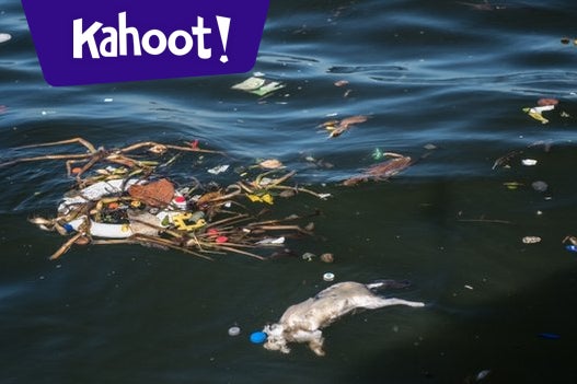 Water and Air Pollution - Kahoot! Quiz