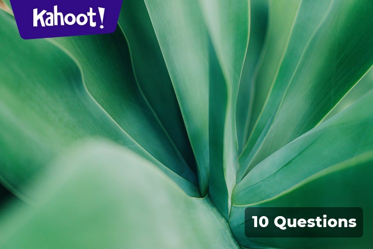 Plants - Kahoot! Quiz