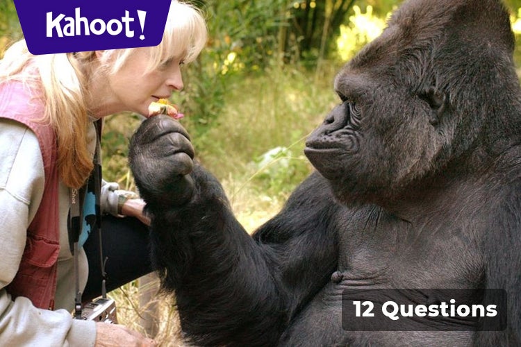 Landmark 1 - Lesson 4: Gorillas and Humans - Part 1+2 - Kahoot! Quiz